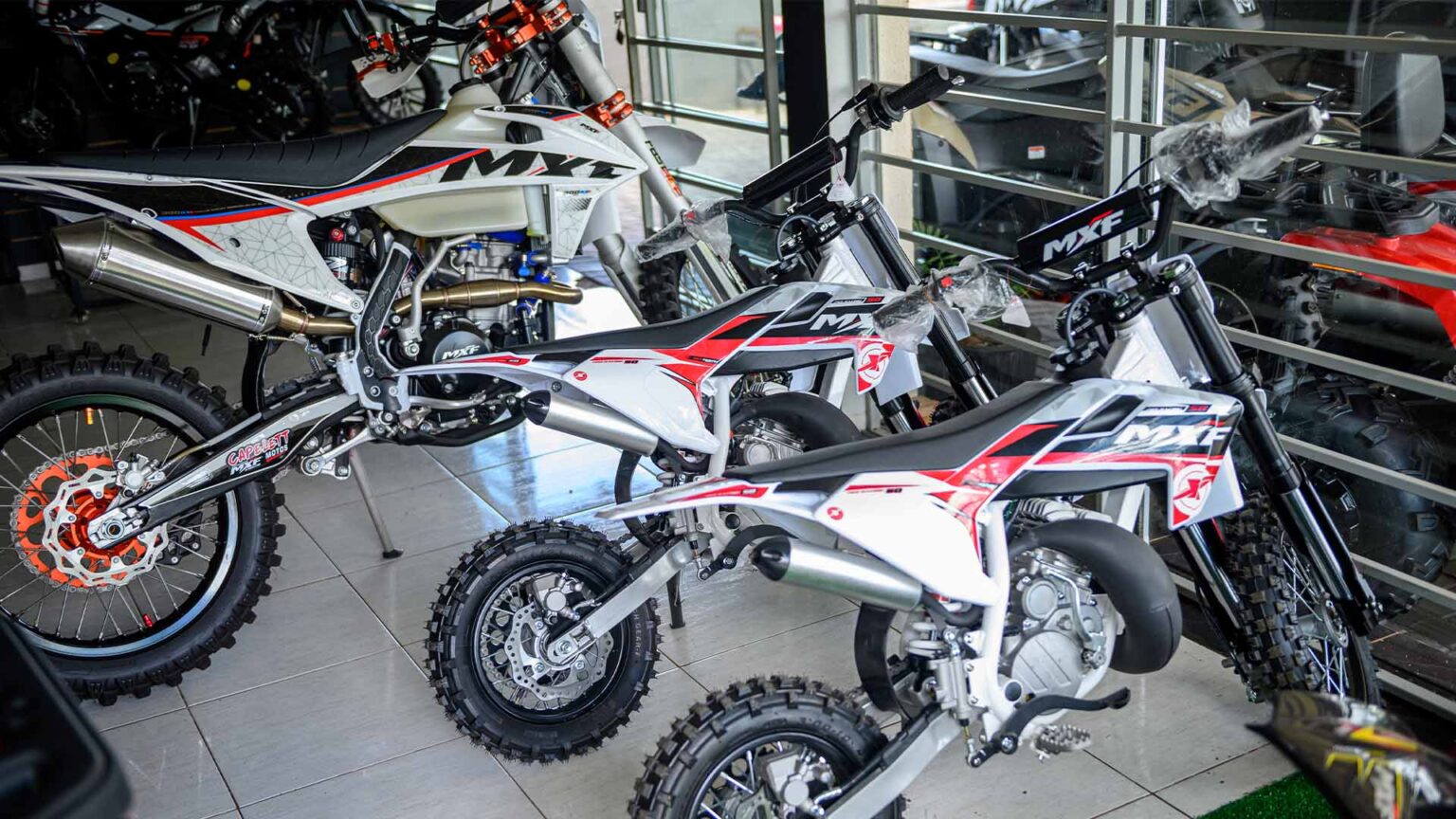 O QUE É UMA MINI MOTO? QUAIS SUAS VANTAGENS E CARACTERISTICAS ...
